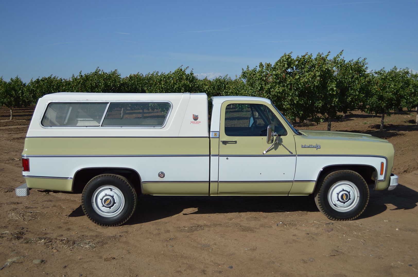 Sell used 1973 Chevrolet Custom Deluxe 20 Truck ORIGINAL CA SURVIVOR ...