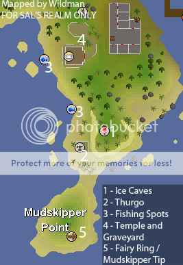 Mudskipper Point Guide - Added Submissions - Sal's RuneScape Forum