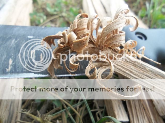 Becker BK7. Review, Test, Day on the Farm. *VERY PIC HEAVY ...